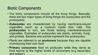TOPIC_4-ECOSYSTEM REPORT IN ENVIRONMENTAL SCIENCE.pptx
