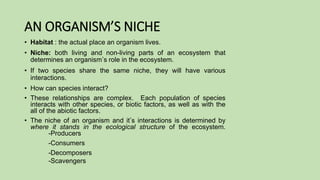 TOPIC_4-ECOSYSTEM REPORT IN ENVIRONMENTAL SCIENCE.pptx