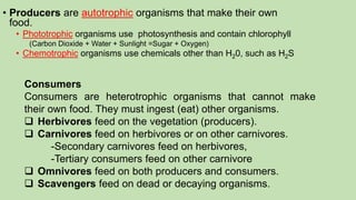 TOPIC_4-ECOSYSTEM REPORT IN ENVIRONMENTAL SCIENCE.pptx