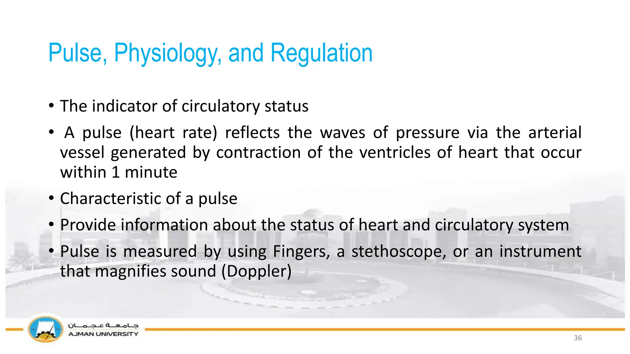 Fundamentals of Nursing Physical assessment - vital signs.pptx