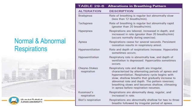 Fundamentals of Nursing Physical assessment - vital signs.pptx