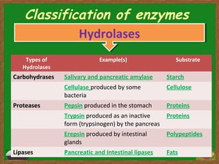 Topic 4 chapter 5 part 1 enzymes - biological catalysts | PPT