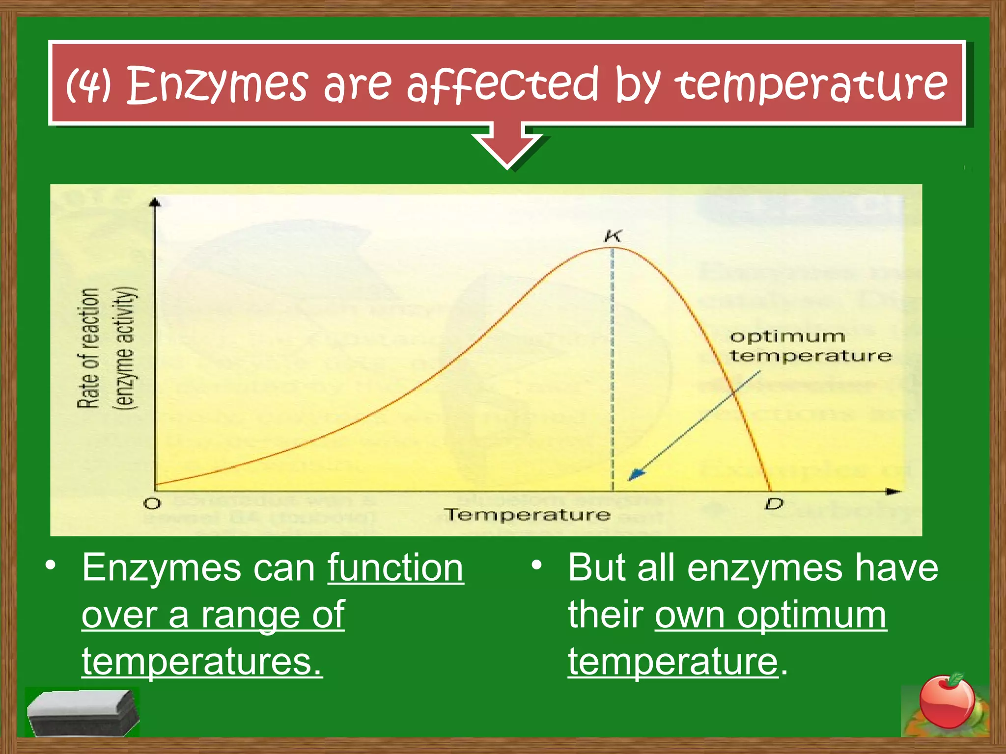 Topic 4 chapter 5 part 2 enzymes - characteristics of enzymes | PPT