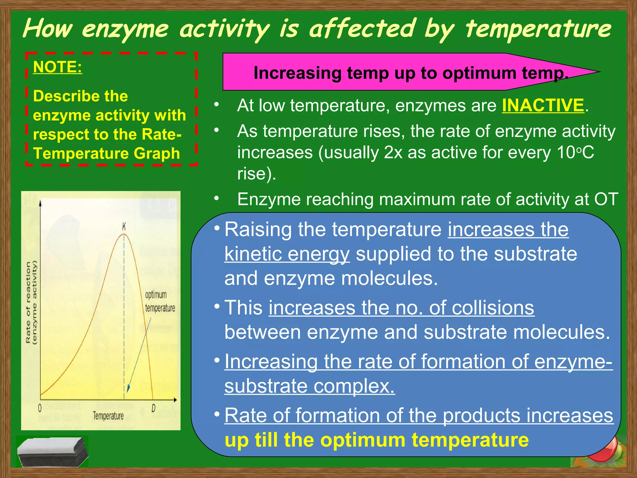 Topic 4 chapter 5 part 2 enzymes - characteristics of enzymes | PPT