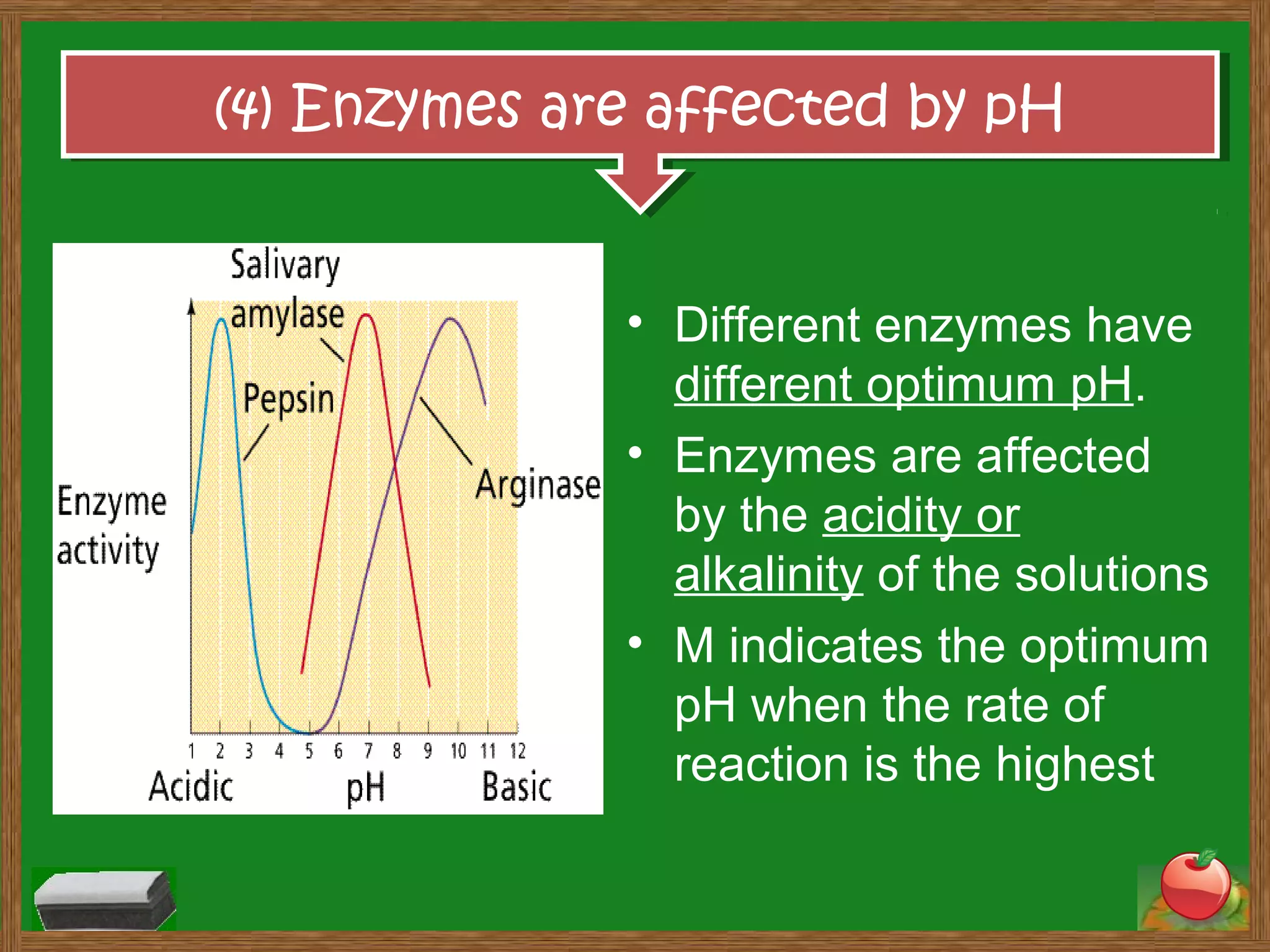 Topic 4 chapter 5 part 2 enzymes - characteristics of enzymes | PPT