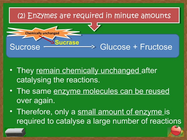 Topic 4 chapter 5 part 2 enzymes - characteristics of enzymes | PPT