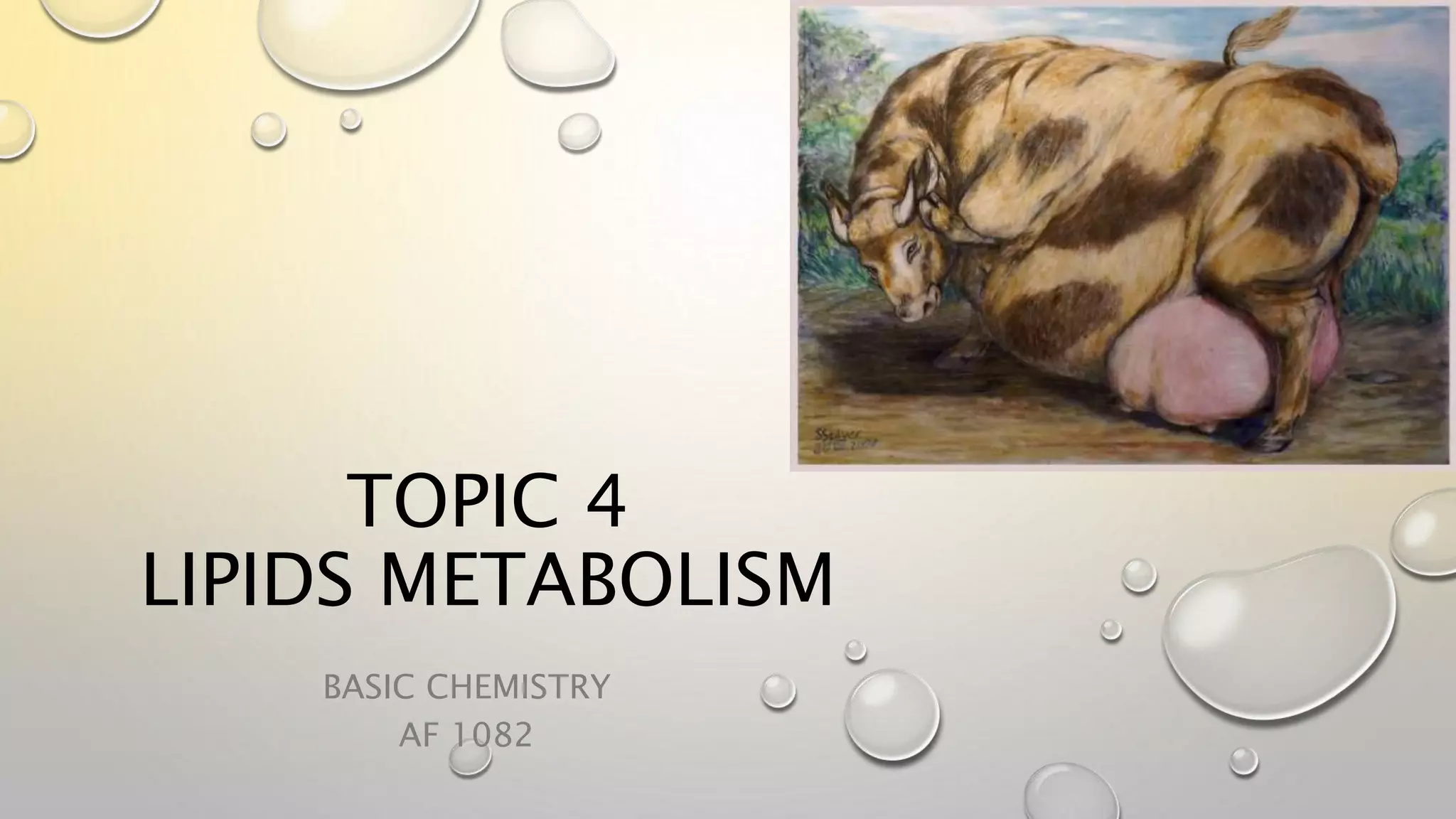 TOPIC 4 LIPID METABOLISM.pptx