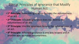 Topic 4 (Modifiers).pptx