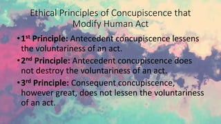 Topic 4 (Modifiers).pptx