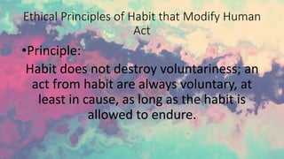 Topic 4 (Modifiers).pptx