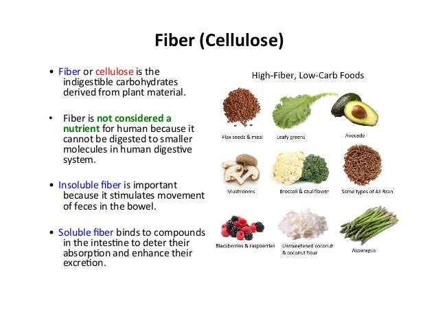 Topic 4 nutrition part 1