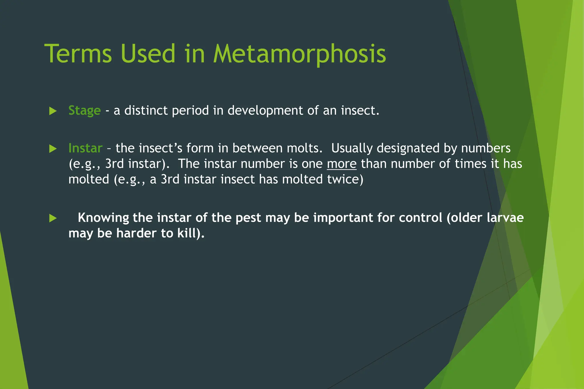 About insect growth and their metamorphosis | PPT