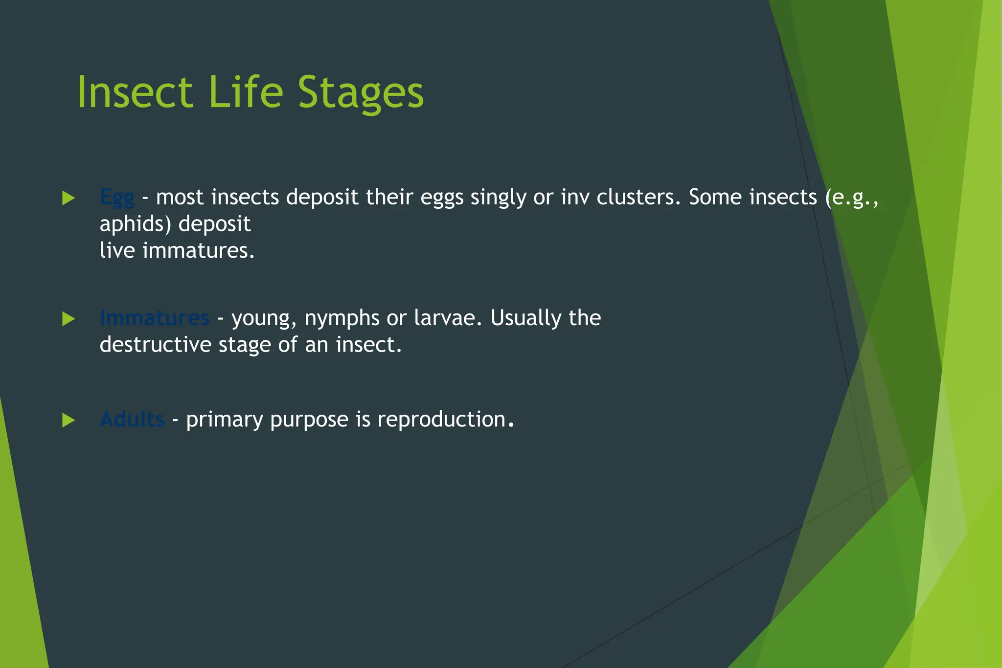About insect growth and their metamorphosis | PPT