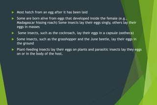 About insect growth and their metamorphosis | PPT