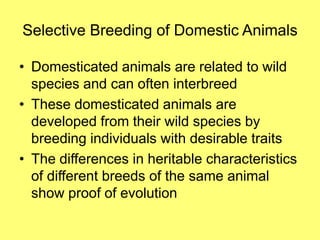 Topic 5: Ecology and Evolution | PPTX