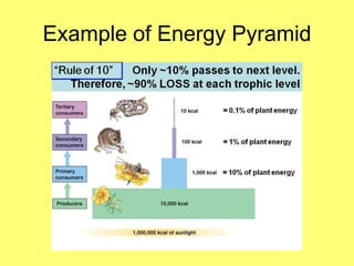 Topic 5: Ecology and Evolution | PPTX