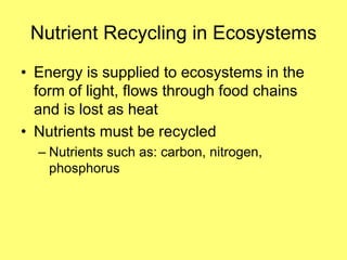 Topic 5: Ecology and Evolution | PPTX