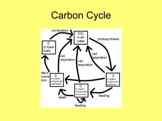 Topic 5: Ecology and Evolution | PPTX