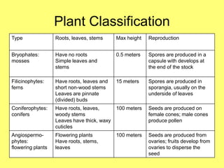 Topic 5: Ecology and Evolution | PPTX