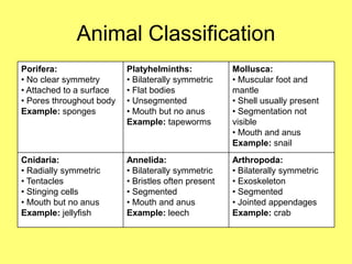 Topic 5: Ecology and Evolution | PPTX