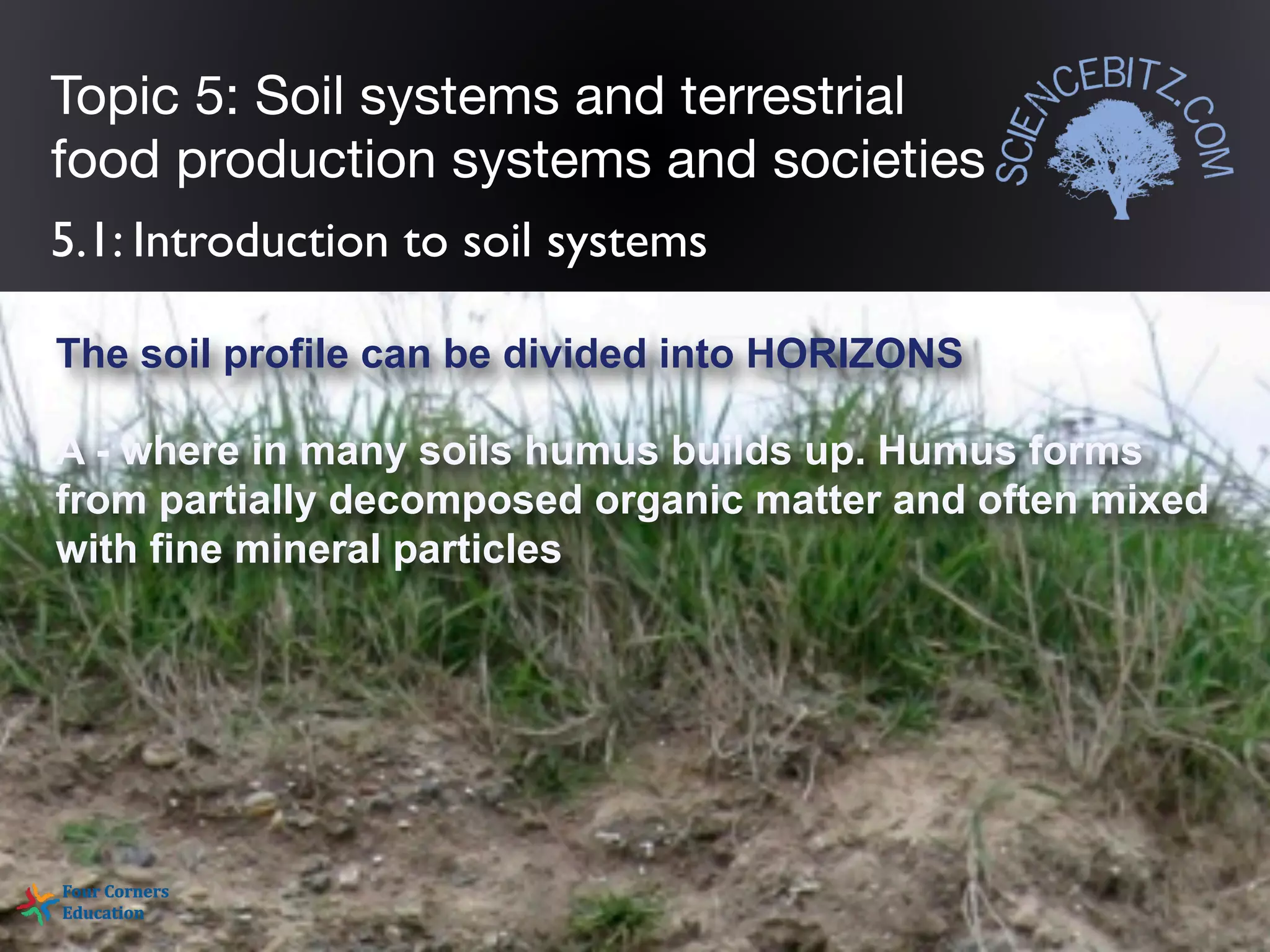 Topic 5.1 introduction to soil systems | PDF