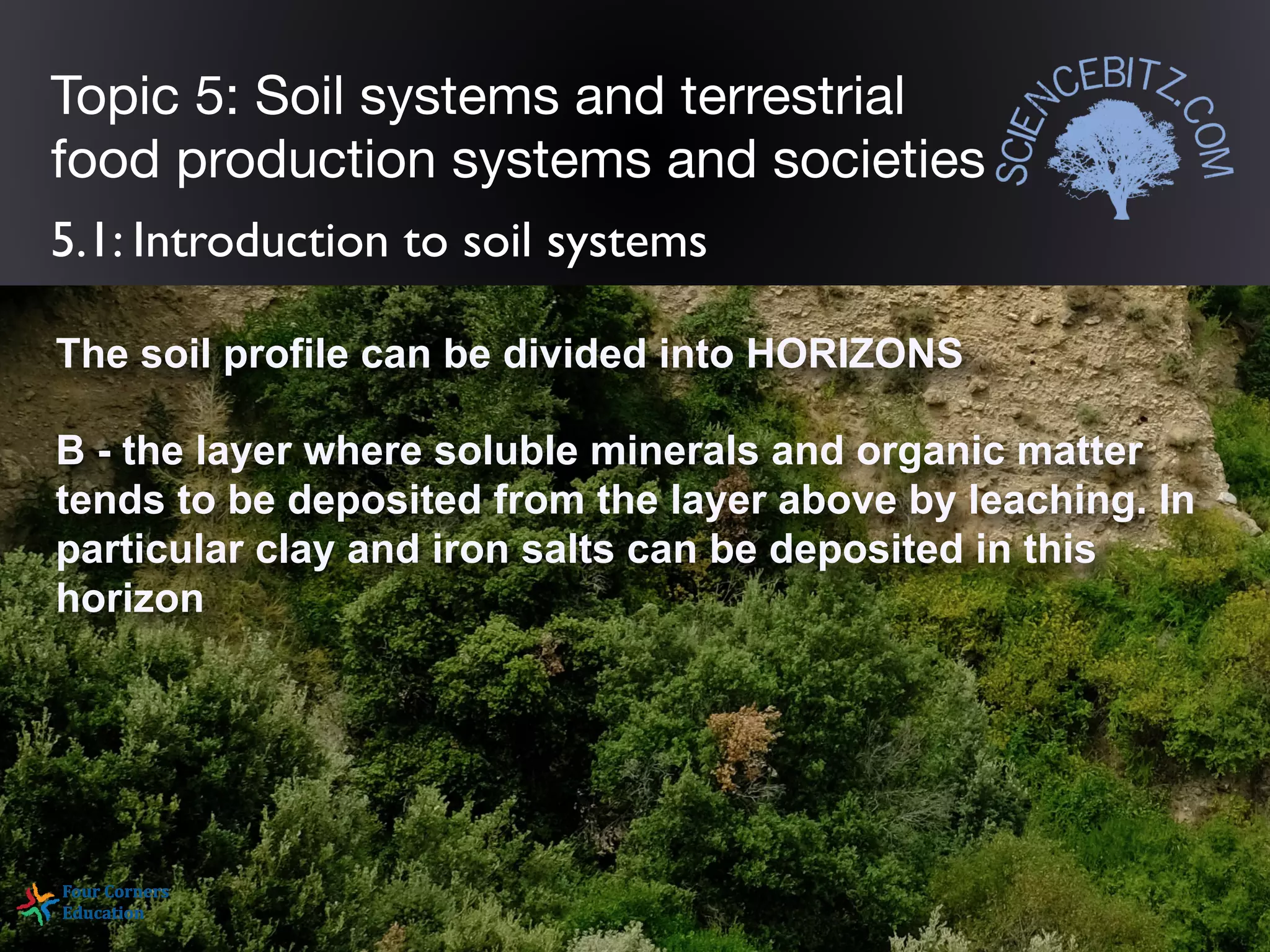 Topic 5.1 introduction to soil systems | PDF