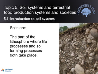 Topic 5.1 introduction to soil systems | PDF