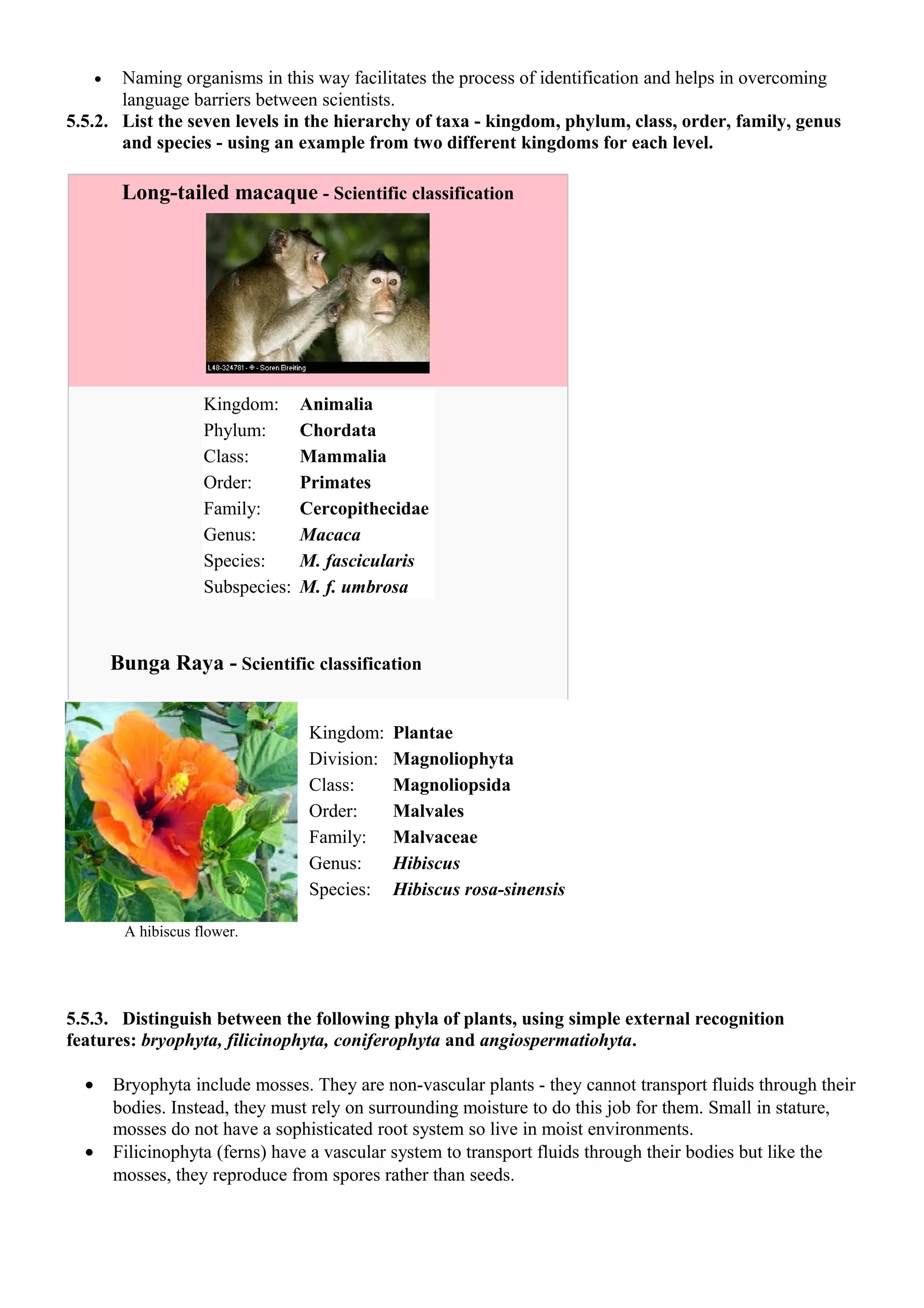 Topic 5 ecology & evolution notes | DOC