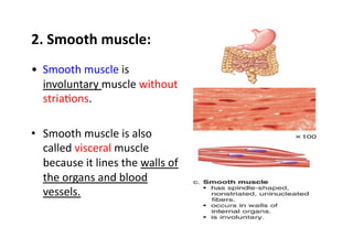 Topic 5 Muscular System | PPT