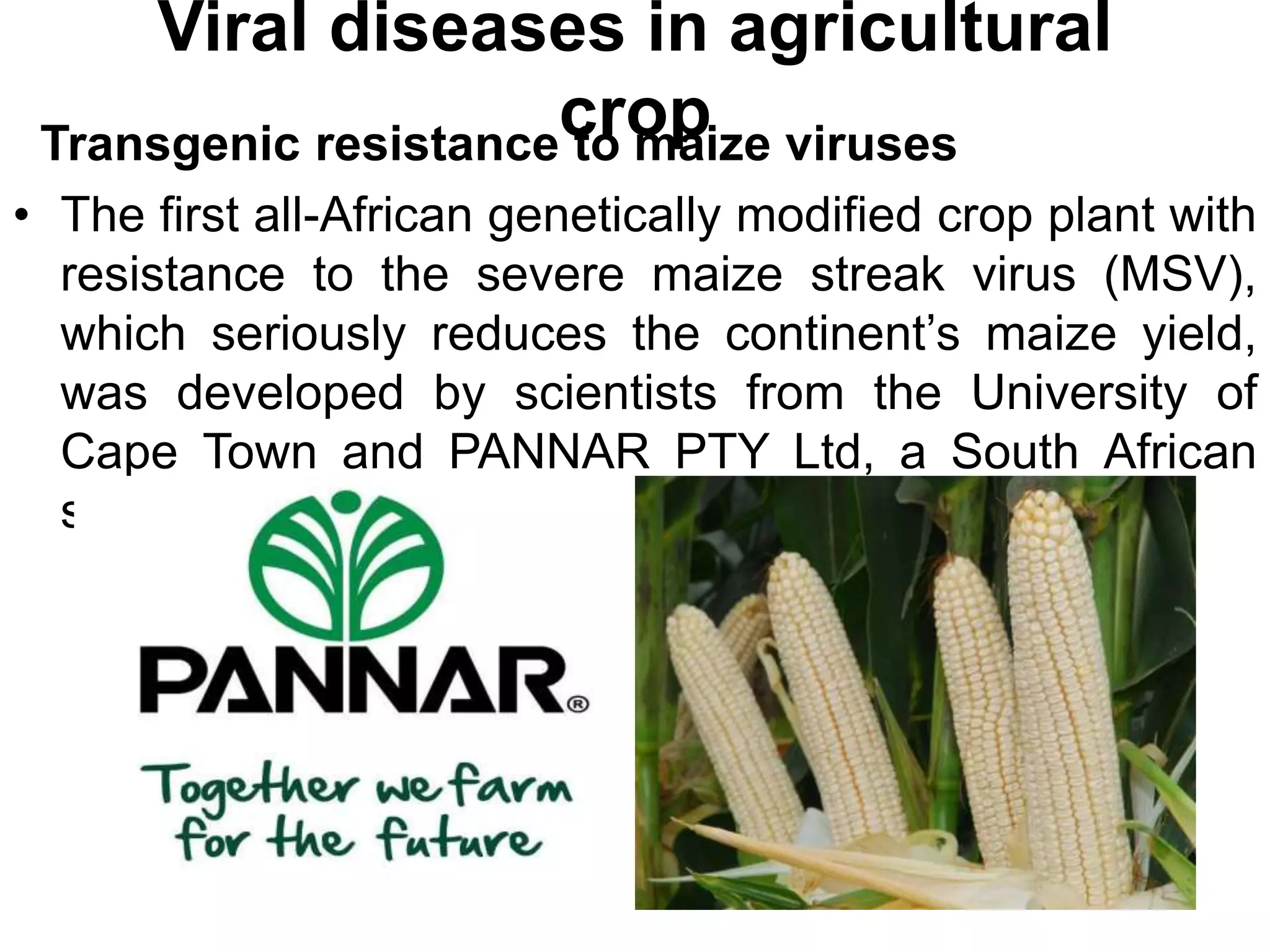 Topic 5 subviral pathogens | PPT