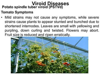 Topic 5 subviral pathogens | PPT