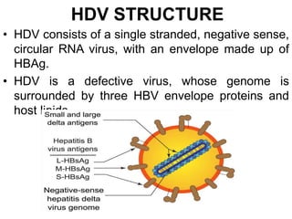 Topic 5 subviral pathogens | PPT