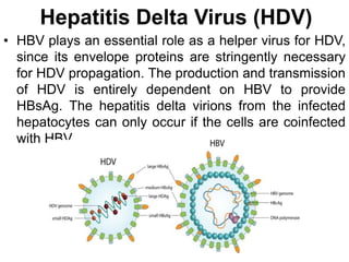 Topic 5 subviral pathogens | PPT