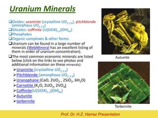 Uranium Ore Deposits | PDF