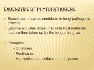 Topic 5 nutrient acquisition: digestion and transport | PPT