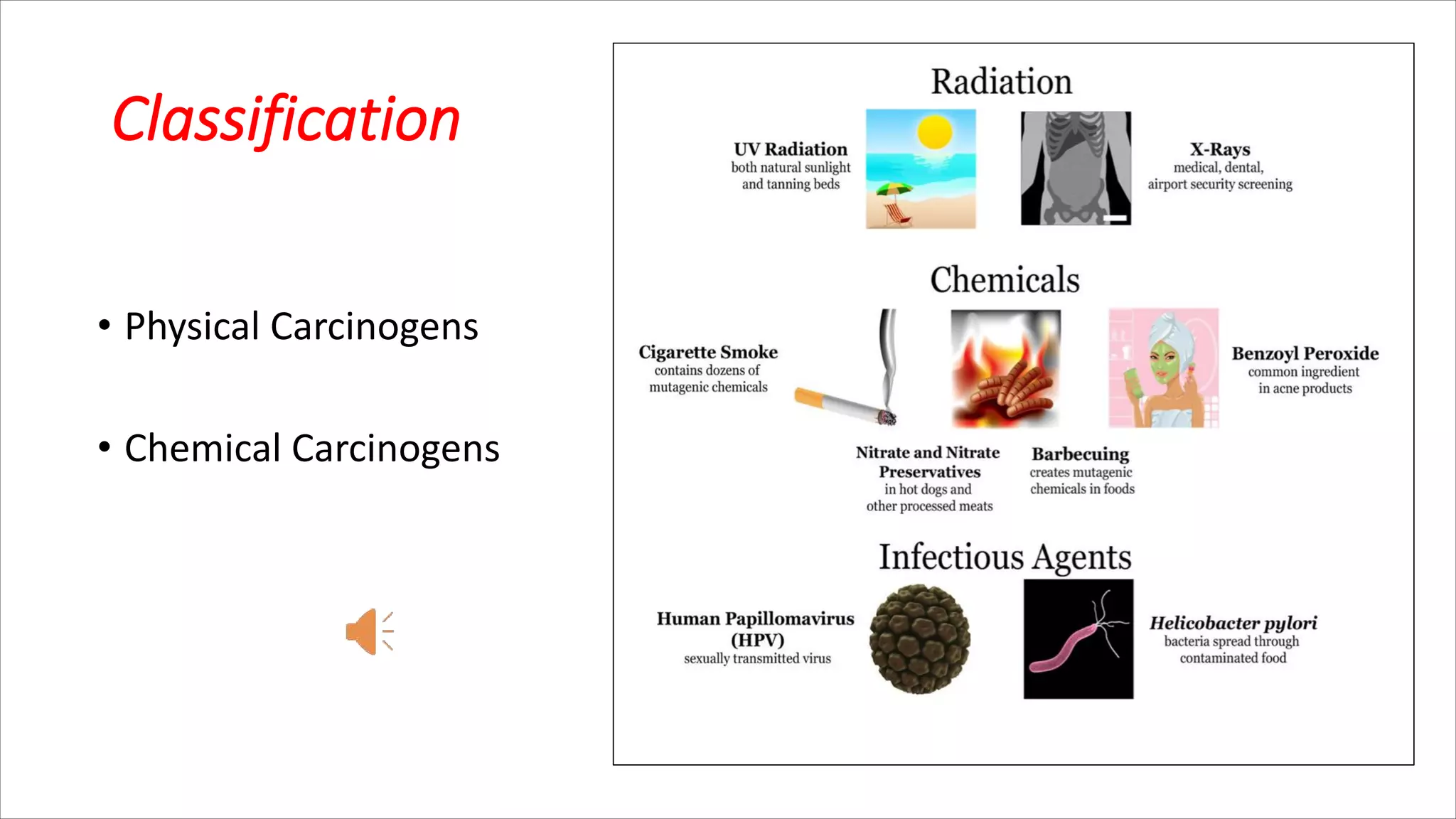 Topic 5 physical and chemical carcinogens | PDF