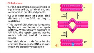 Topic 5 physical and chemical carcinogens | PDF