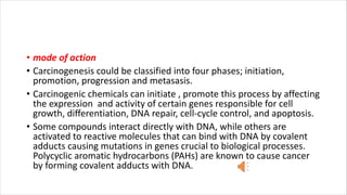 Topic 5 physical and chemical carcinogens | PDF