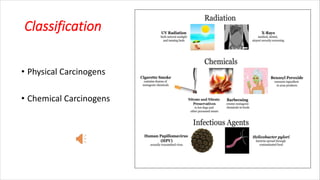 Topic 5 physical and chemical carcinogens | PDF