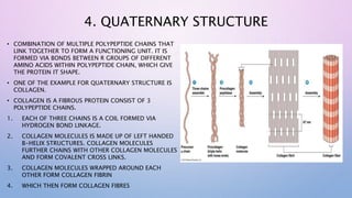 TOPIC 5 PROTEIN.pptx