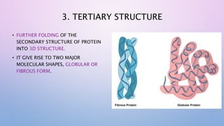 TOPIC 5 PROTEIN.pptx