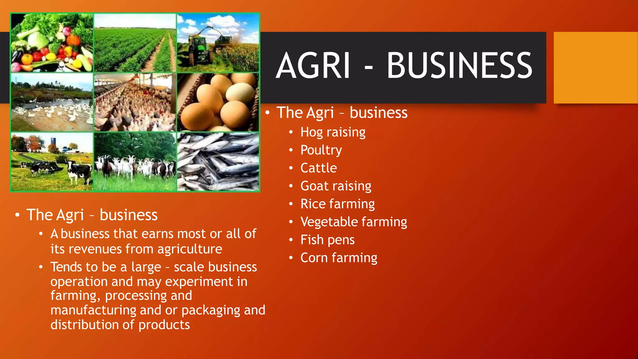 TOPIC 5 TYPES OF INDUSTRIES.pptx