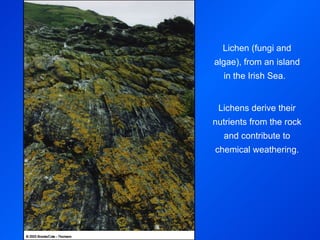 Topic 5 weathering and sediments1 | PPT