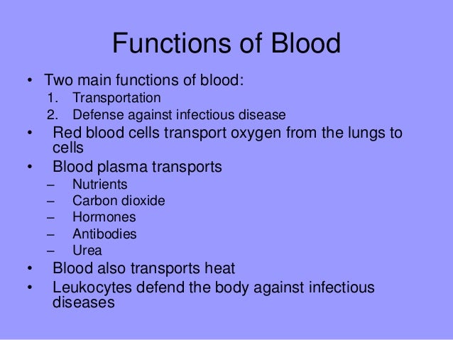The 5 Functions Of Blood