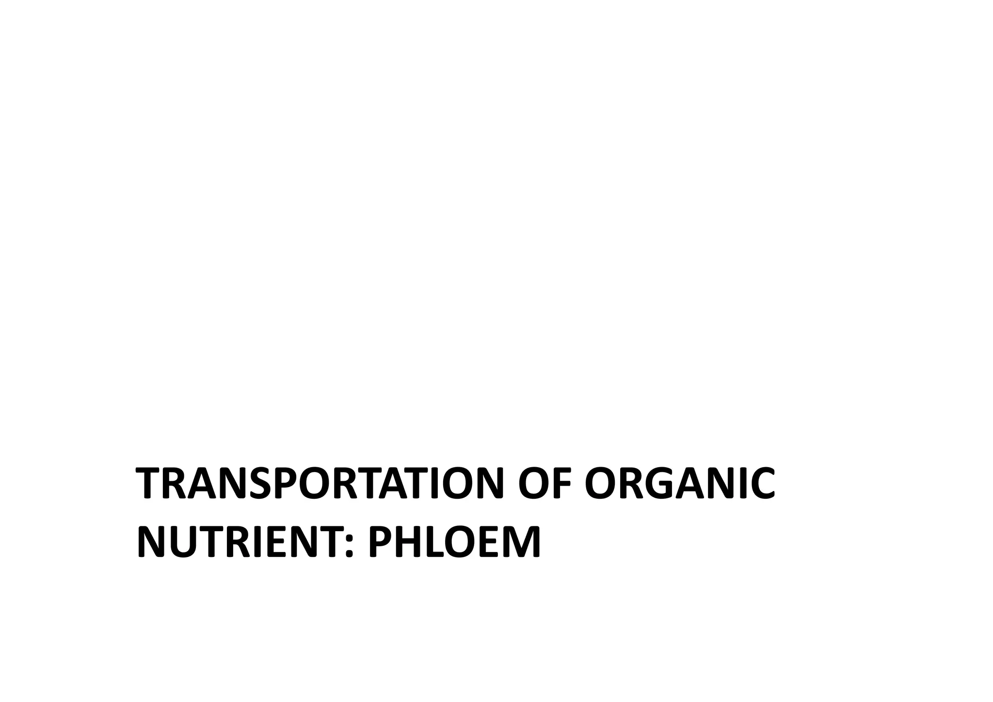 Topic 6 Plant Structure Pdf