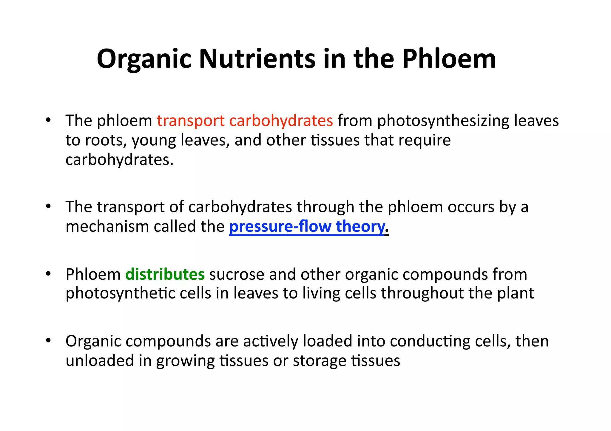 Topic 6 Plant Structure Pdf