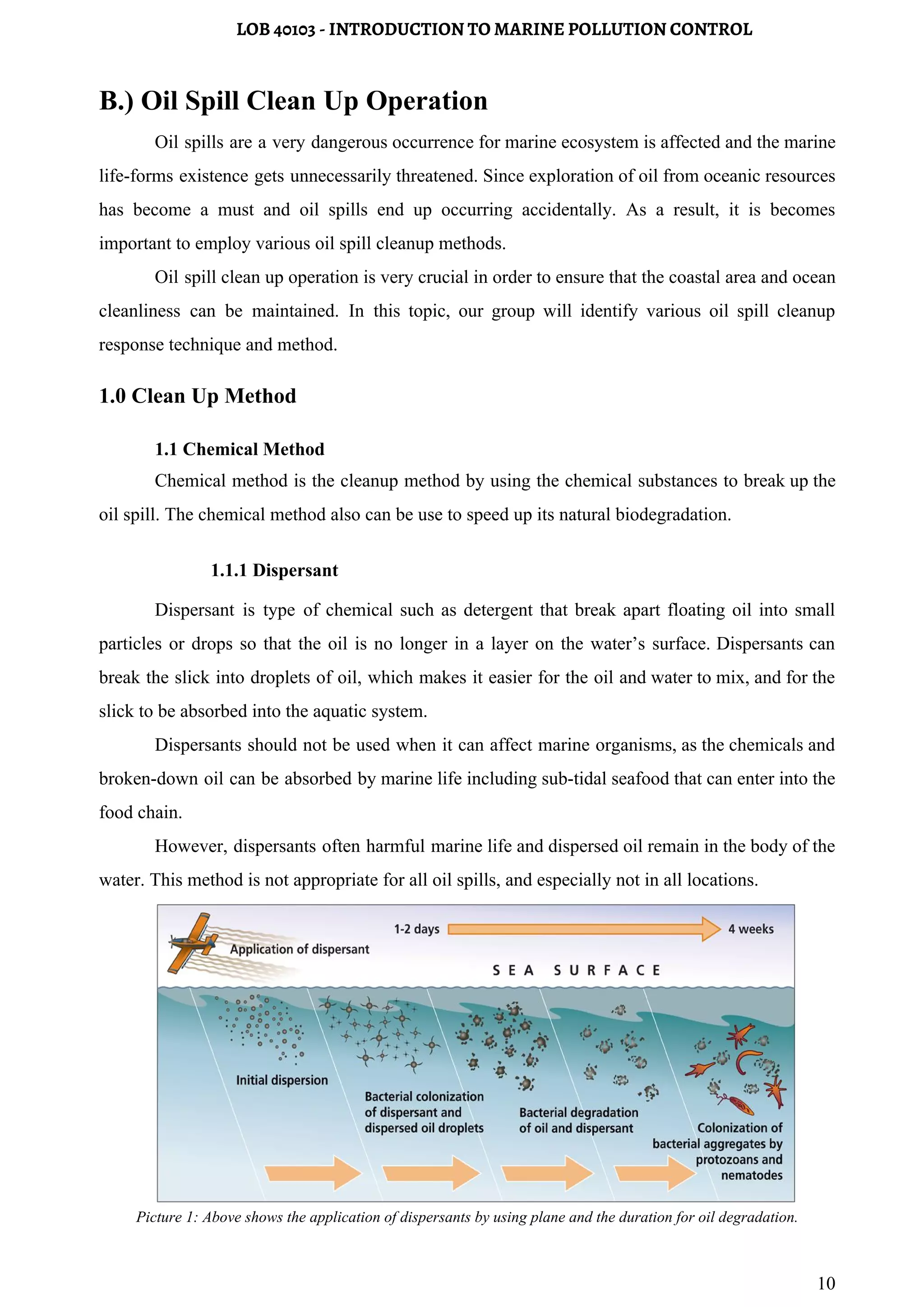 Oil Spill Clean up Operation | PDF