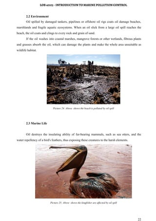 Oil Spill Clean up Operation | PDF