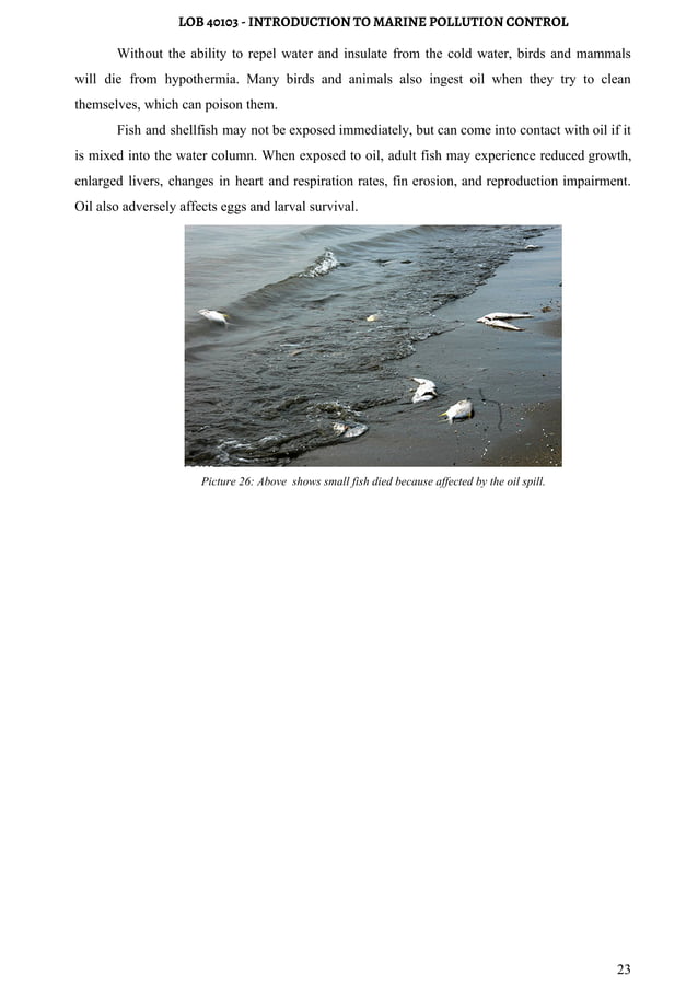 Oil Spill Clean up Operation | PDF