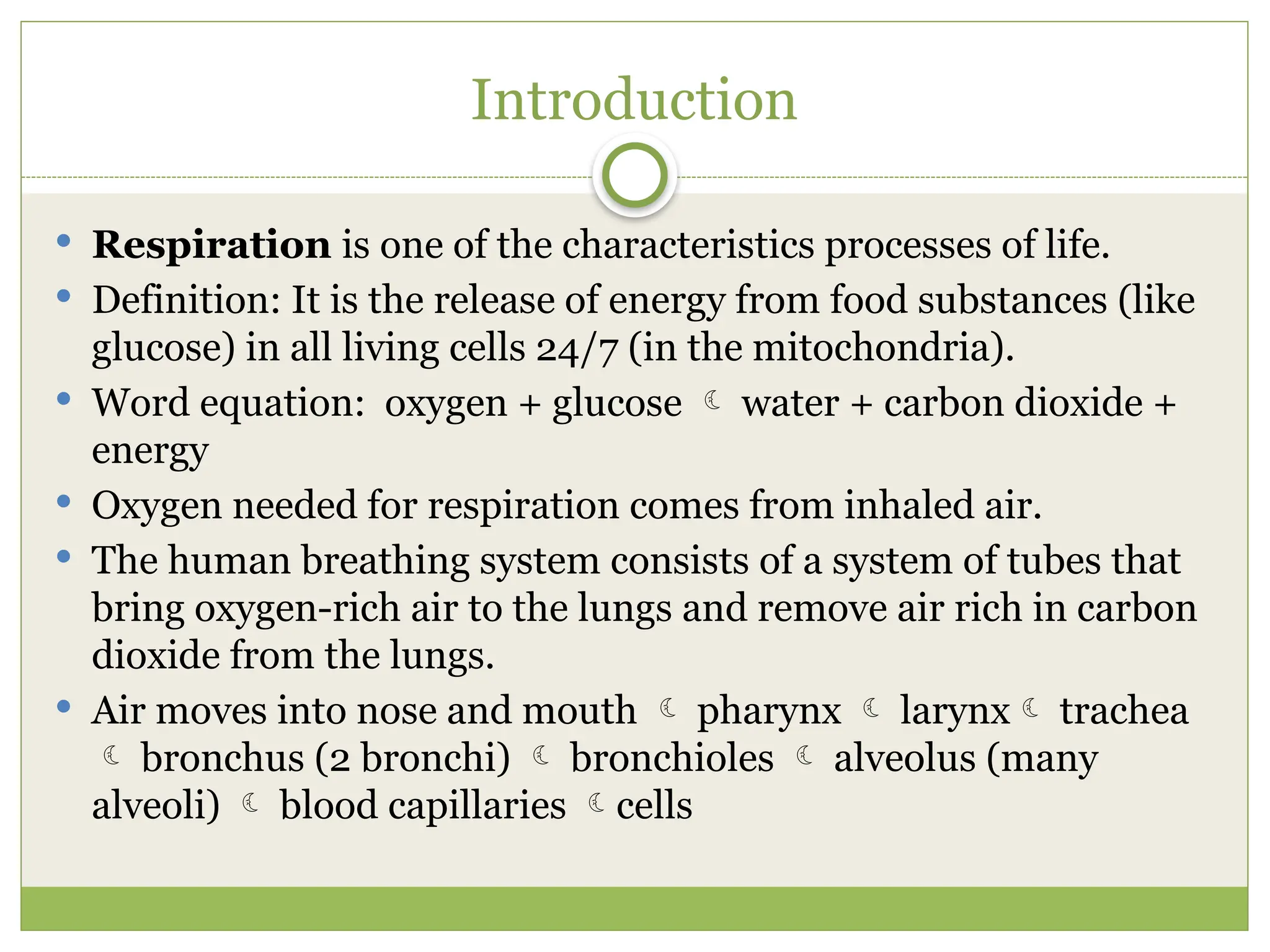 Topic 6 B The breathing system gggg.pptx